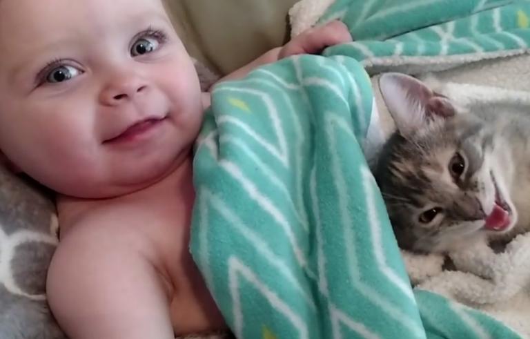 NAJLEPŠE BUĐENJE IKAD! Beba i maca zaspale zajedno, kada su otvorile ...