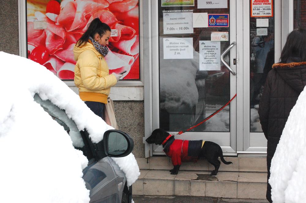 ODUŠEVIO KRALJEVČANE: Pas mirno čekao gazdaricu, a evo zašto je ...