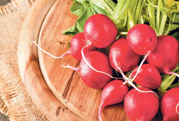 5 benefita rotkvica za zdravlje | Zdravlje Kurir