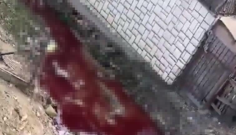 JEZIVA SCENA U NOVOM PAZARU: Krvava reka teče pored kuća u prigradskom ...