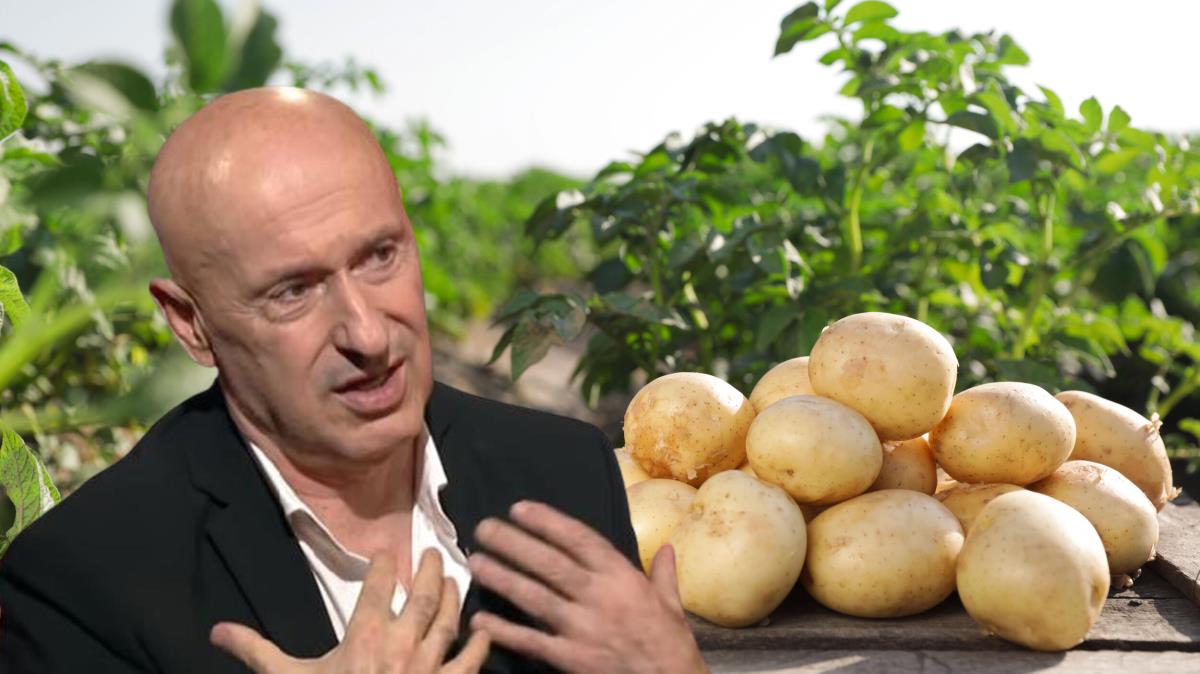 AKO JEDETE OVU NAMIRNICU NIKAD NEĆETE IMATI STRUK! Dr Solaković otkrio ...