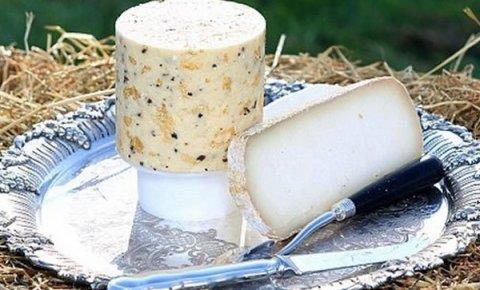 Srpski sir najskuplji na svetu 1.270 dolara kg | Kurir