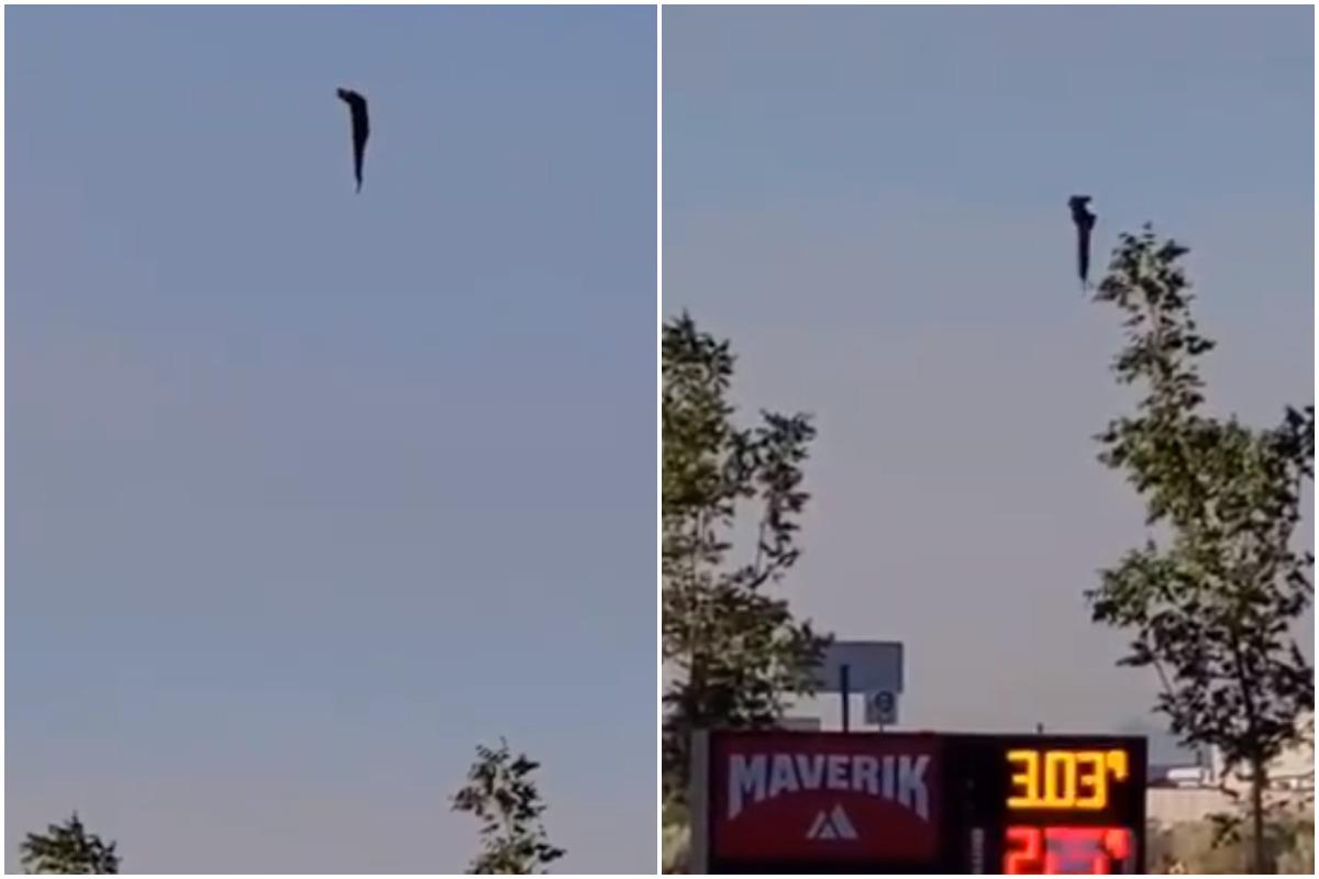 TRAGEDIJA U AMERICI: Balon zakačio dalekovod, poginulo četvoro turista ...