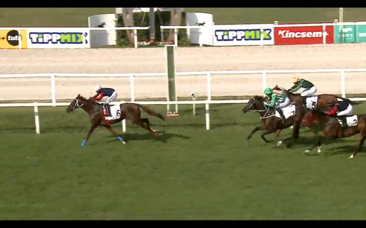 GALOPSKE TRKE U OKRUŽENJU: Srpski konjari u Budimpešti, Beču i Bihaću ...