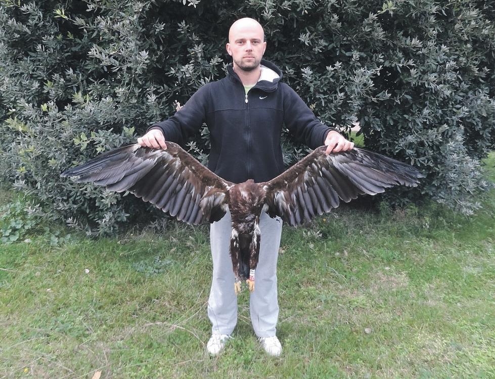 ORAO PAO: Crnogorci oborili poljskog orla špijuna | Kurir