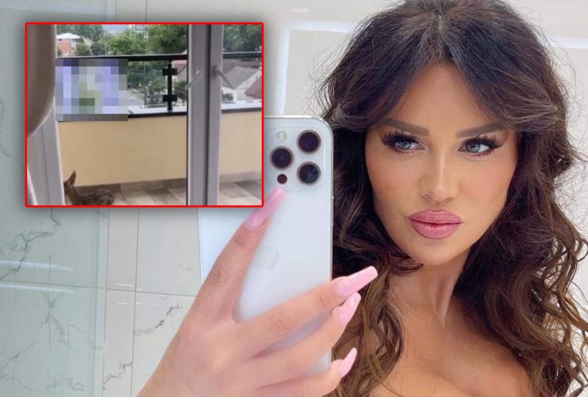 STANIJA U SKUPOM DOMU NA TERASI KRIJE DIVLJU ŽIVOTINJU: Starleta ...