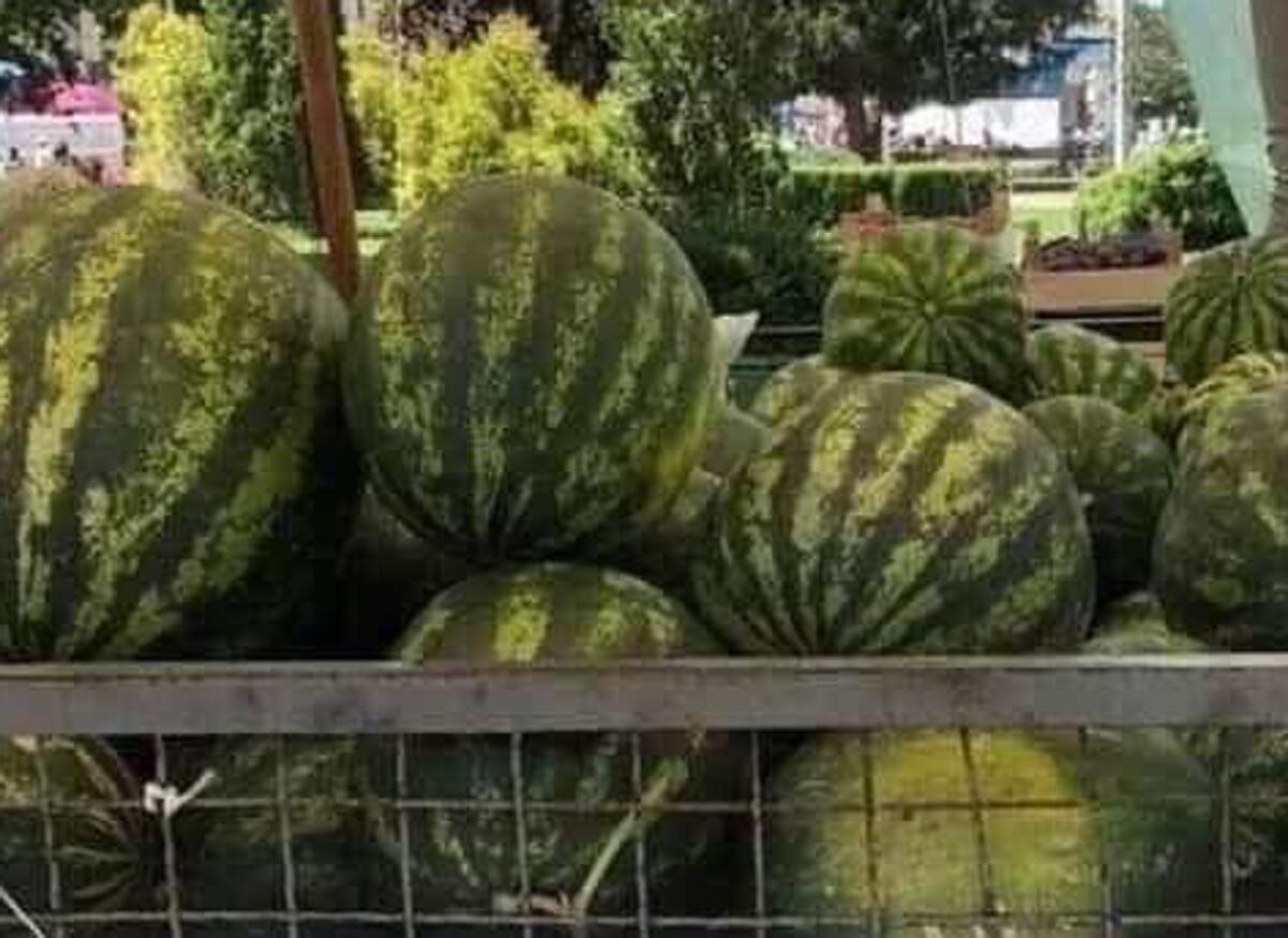 Kilo lubenice 4 evra! Region bruji o ceni u marketu: Evo zašto ne bi ...