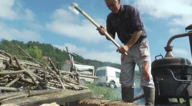 Domaćin Veljo iz Arilja traži porez za neudate i neoženjene | Kurir
