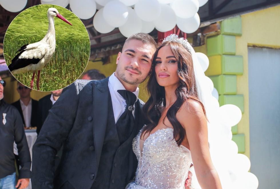 Mirko i Bojana Šijan saznaju pol bebe | Kurir