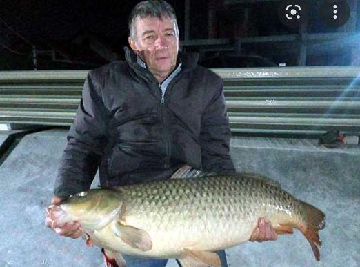 Zoran Upecao Šarana Rekordera Grdosija Stara 60 Godina Izvučena Iz Dunava Kod Smedereva Kurir
