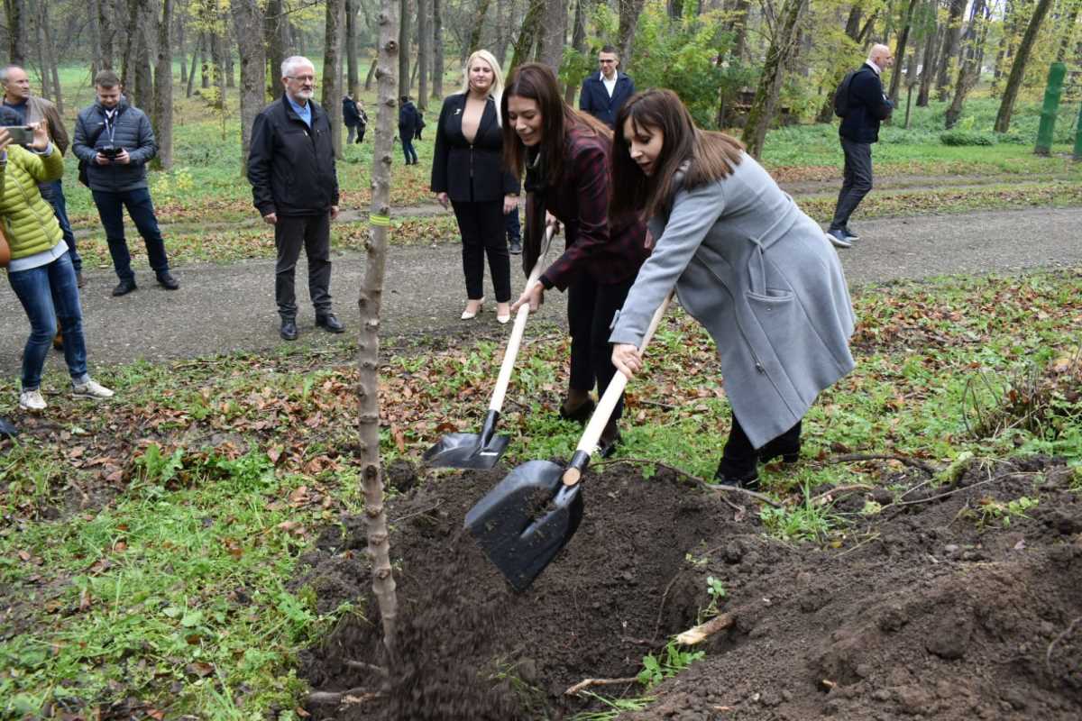 Počela akcija sadnje 50.000 sadnica širom Srbije | Kurir
