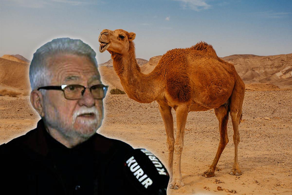 Šta je kamilji grip, bolest od koje umire svaki treći zaraženi | Kurir