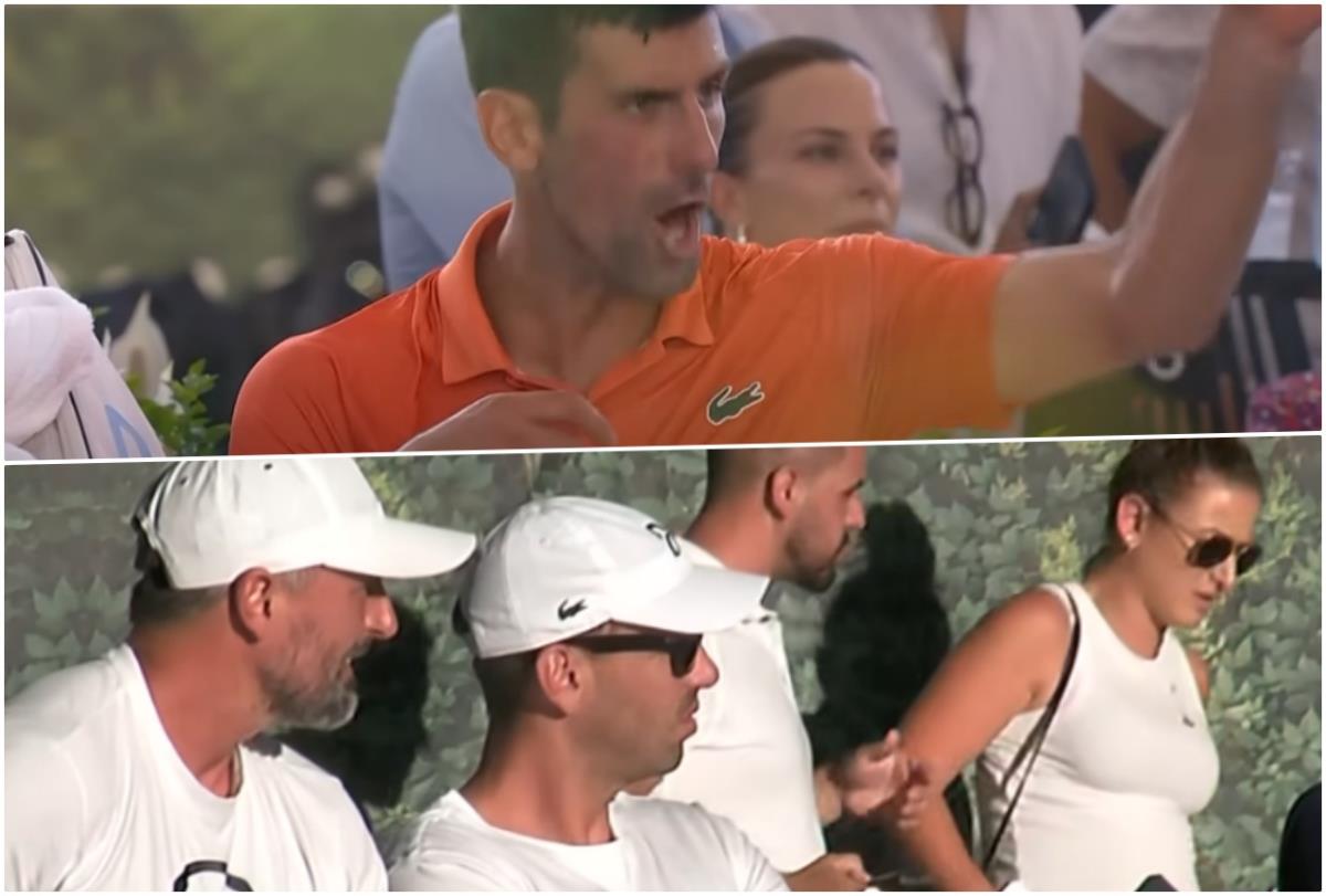 Pravila boksa Novaka Đokovića | Kurir