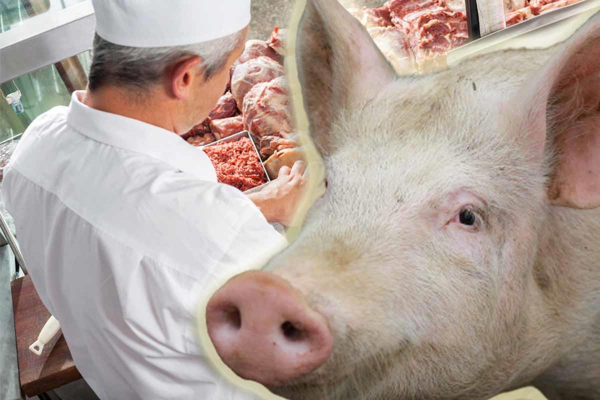 Mile Mesar prošvercovao tonu i po mesa iz BiH | Kurir