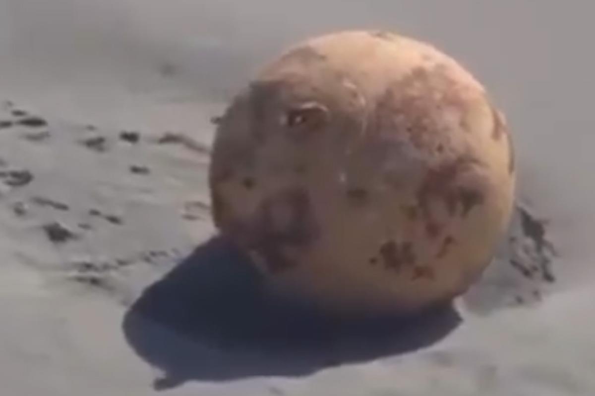 MISTERIOZNA METALNA KUGLA PREČNIKA 1,5 METARA ISPLIVALA NA OBALU JAPANA: Policija dala uzbunu ...