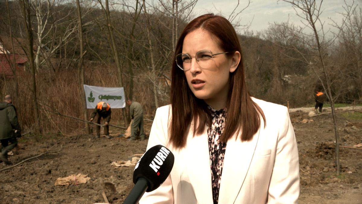 Ministarka Sara Pavkov detaljno o dopuni zakona za zaštitu vazduha u Srbiji | Kurir