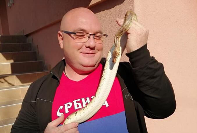 Kako razlikovati ujed otrovne i neotrovne zmije | Kurir