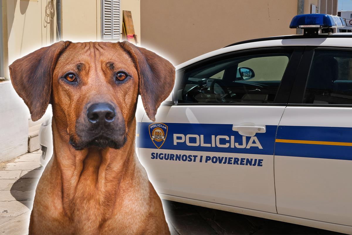 Hrvat iz Evropskog parlamenta osuđen zbog silovanja psa | Kurir