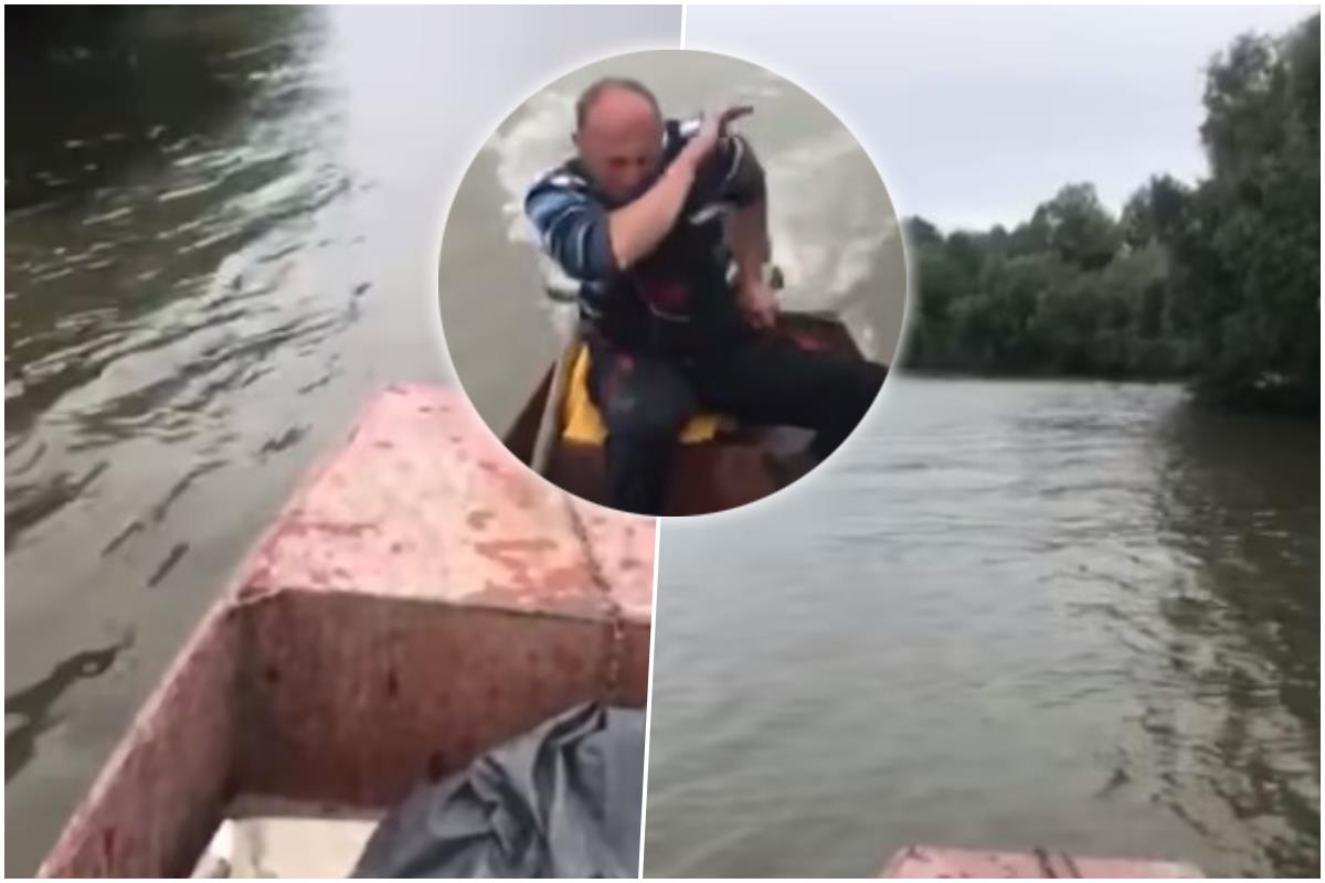 Jato riba u Zemunu iskakalo iz vode | Kurir