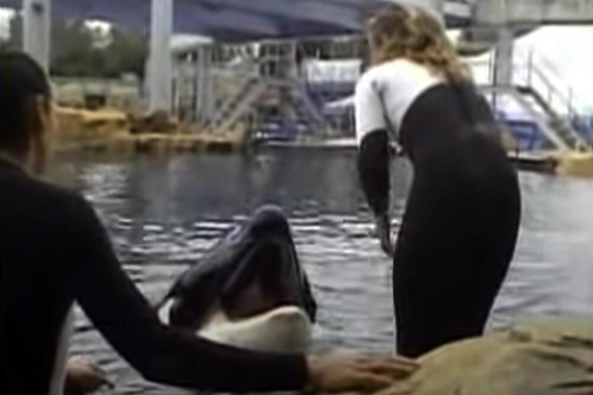 Turiskinja bila svedok smrti žene koju je ubila orka | Kurir