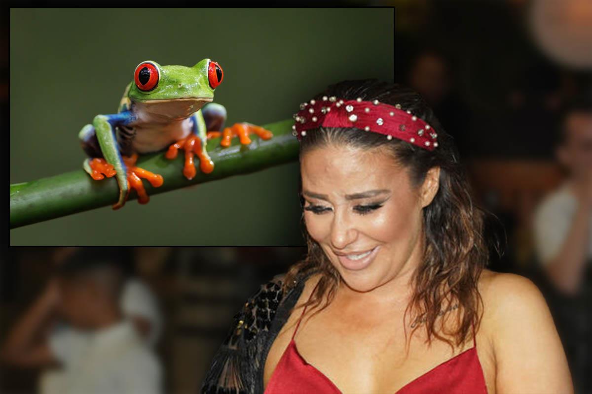 Ana Nikolić maže telo otrovom žabe kako bi očistila telo | Kurir