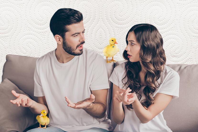 PRIMETILI STE ČUDNE OBLIKE NA TOALET PAPIRU? POGLEDAJTE ŠTA TO U STVARI ...