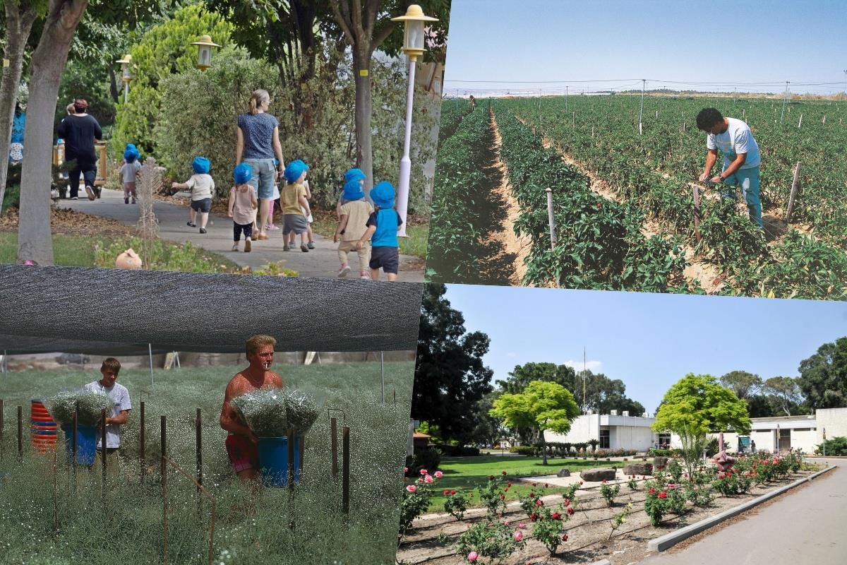 Šta je to kibuc i ko je bio čovek poreklom iz Zemuna čije su pristalice ...