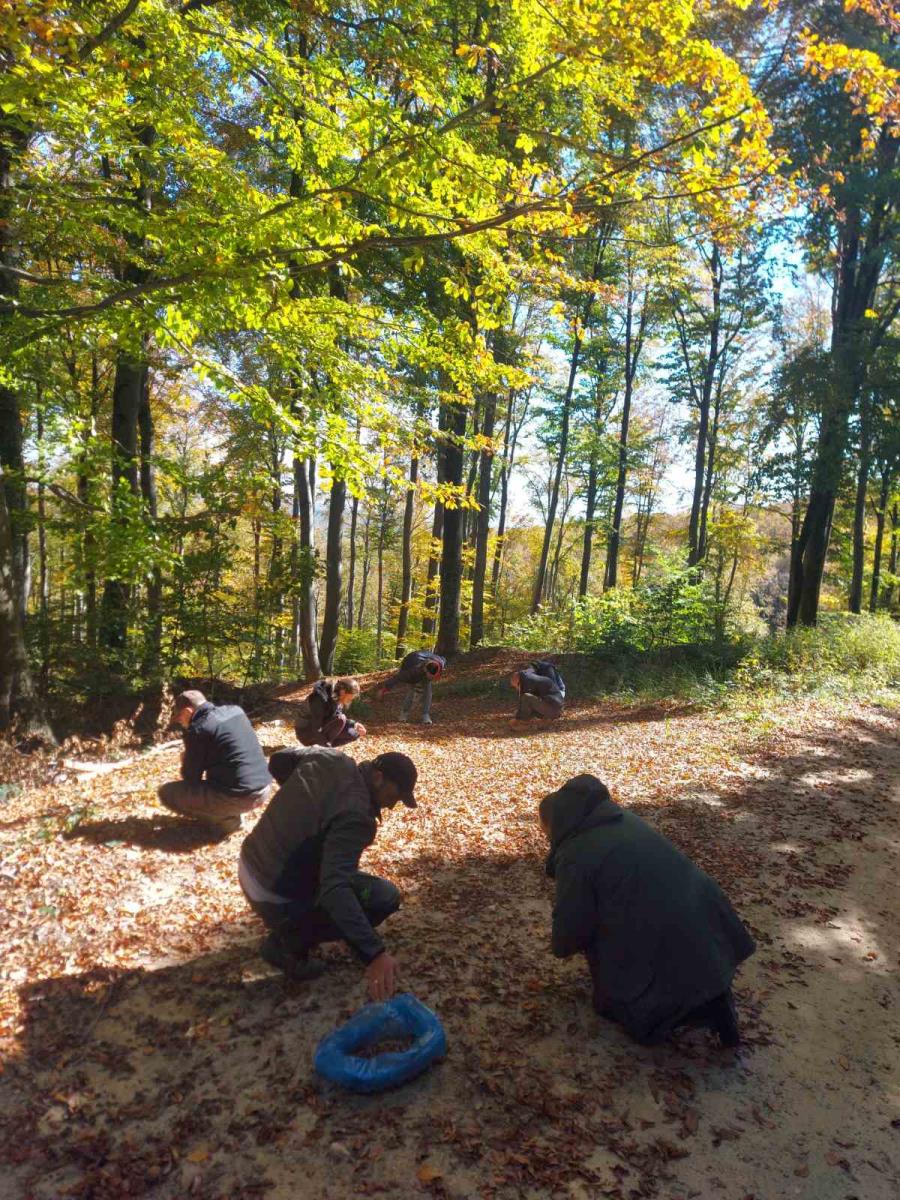 Kolika je zarada od prodaje žira | Biznis Kurir