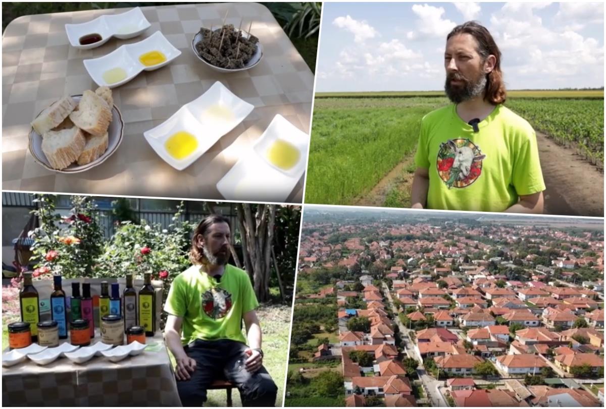 Vlada usred Banata uzgaja kikiriki i već ima stalne kupce | Biznis Kurir