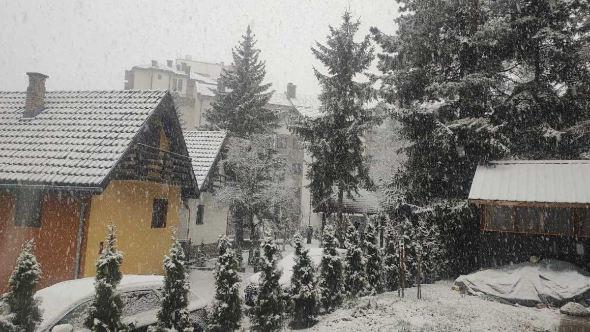 Sneg na Zlatiboru, Tari i Užicu | Kurir