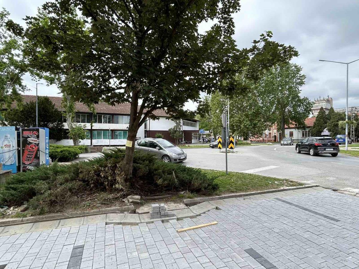 Poni konj na ulicama u Bačkoj Palanci | Kurir