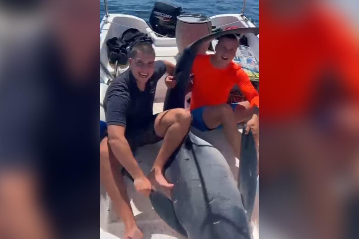 Snimak ajkule u Crnoj Gori | Kurir