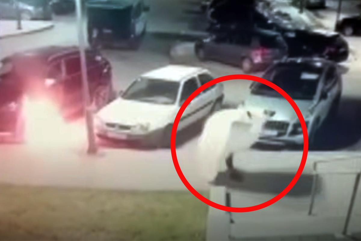 Vandal ogrnuo čaršav pa podmetnuo požar na automobilima | Kurir