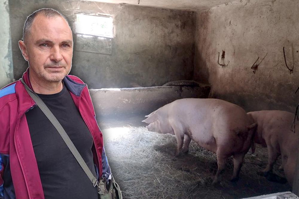 Ispovest Milovana Dinića iz Aleksinca kog je svinja ujela za polni ...