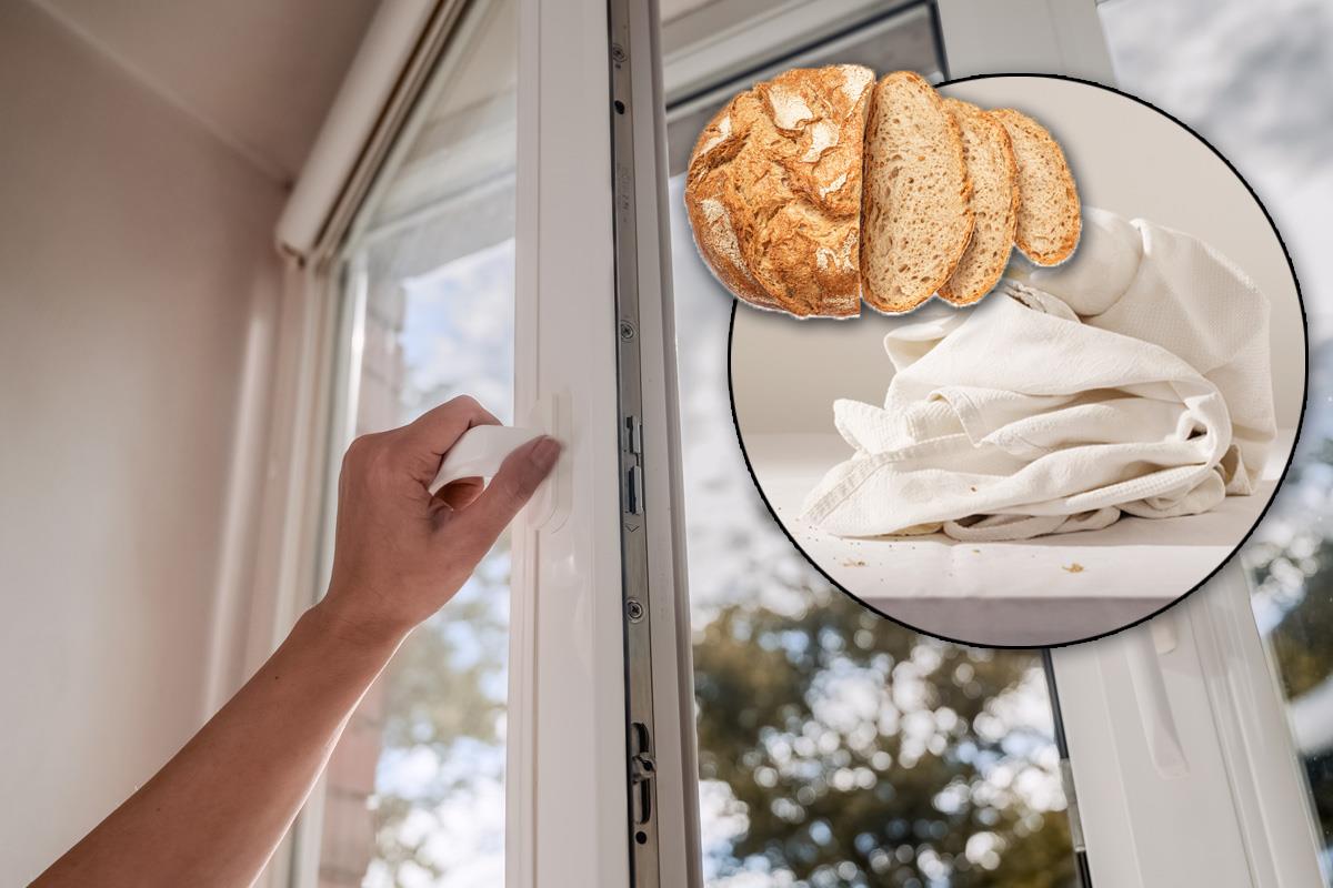 Kazne za istresanje mrava kroz prozor 5.000 dinara | Biznis Kurir