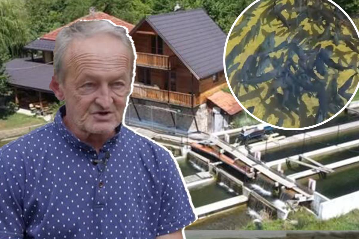Vojo Vukašinović uzgaja pastrmke | Biznis Kurir