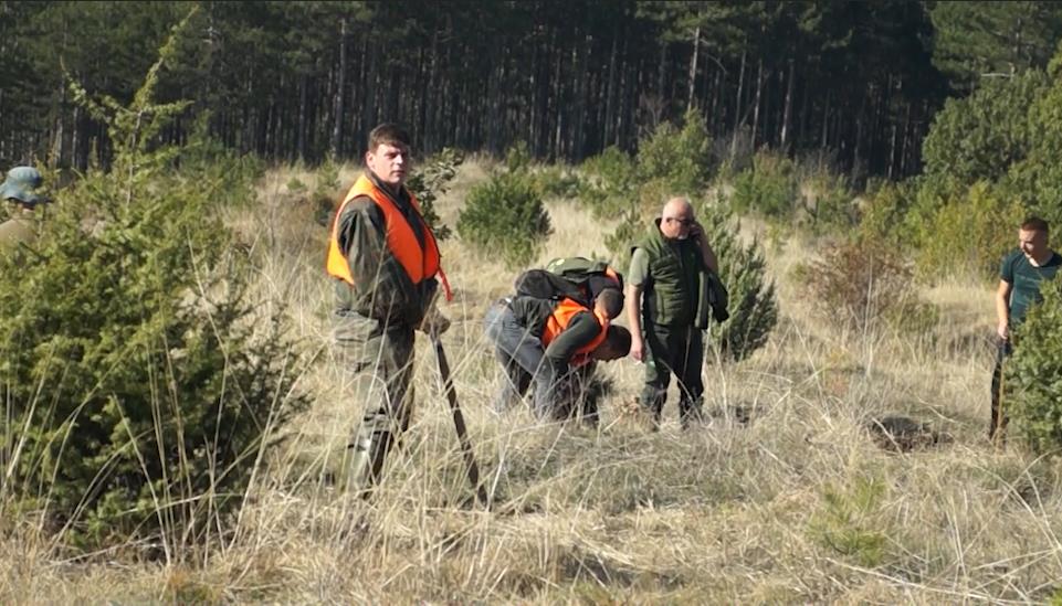 "POSADIĆEMO HILJADU SADNICA NA MESTU GDE JE BIO POŽAR KOD KRALJEVA" Akcija Zasadi drvo koju su ...