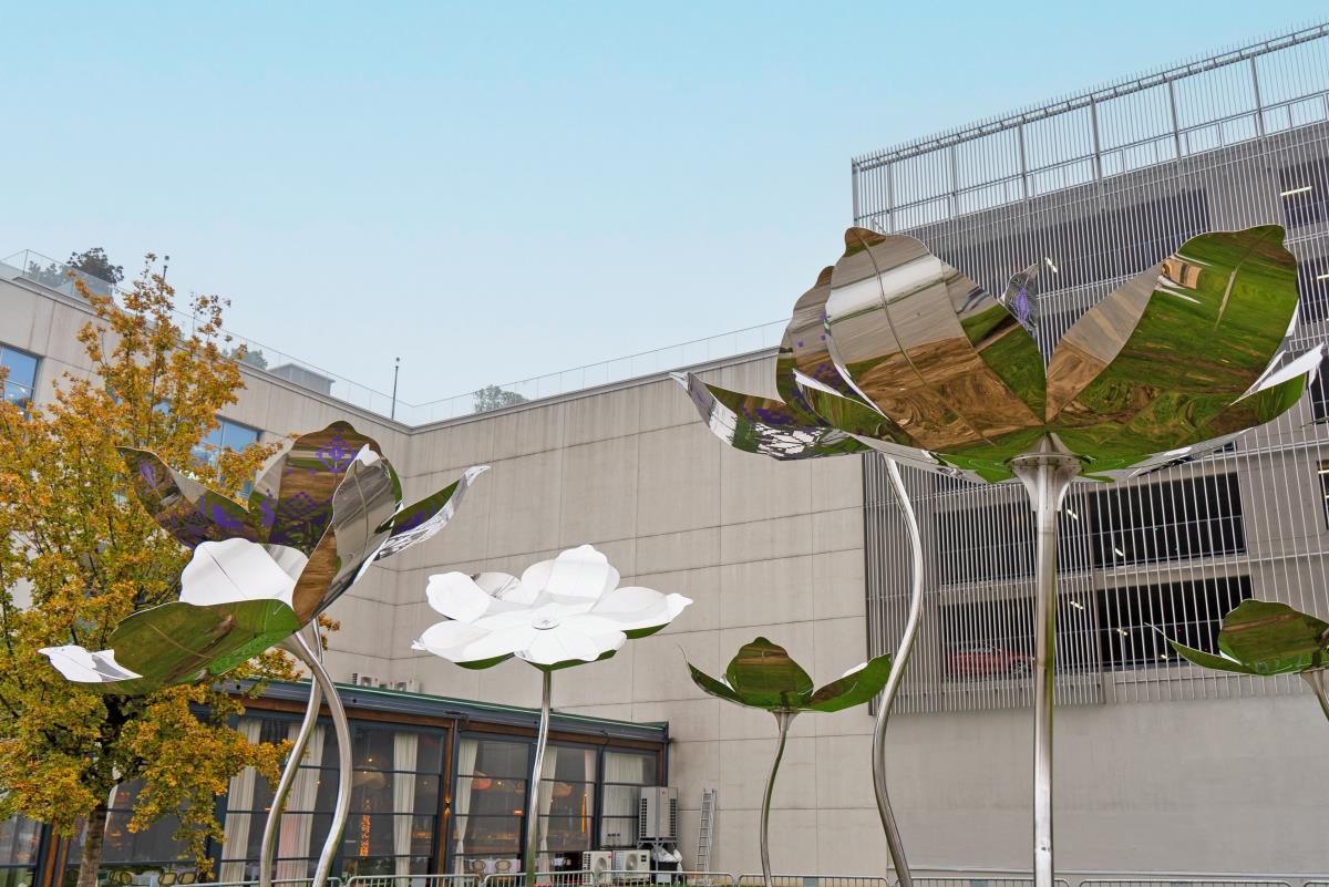 Natalijina ramonda „iznikla“ na Sava Promenadi | Kurir