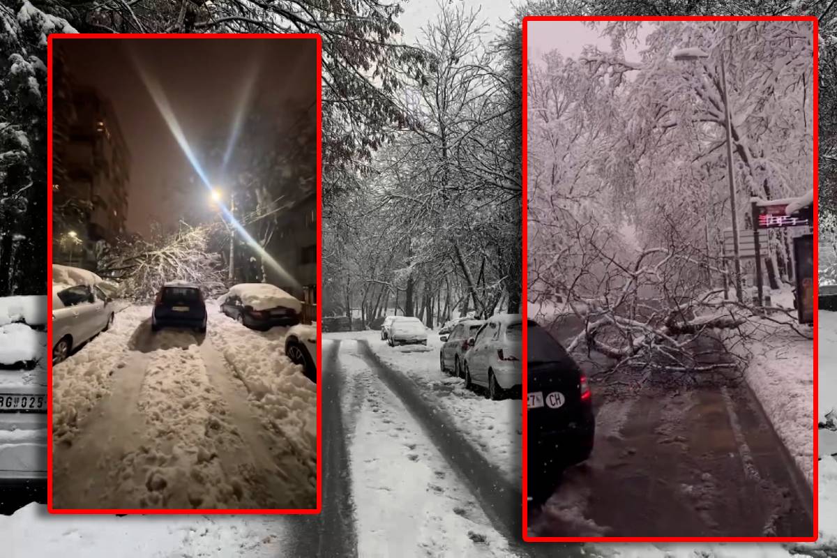 Sneg napravio haos u Beogradu - intervenisalo se na preko 200 lokacija | Kurir