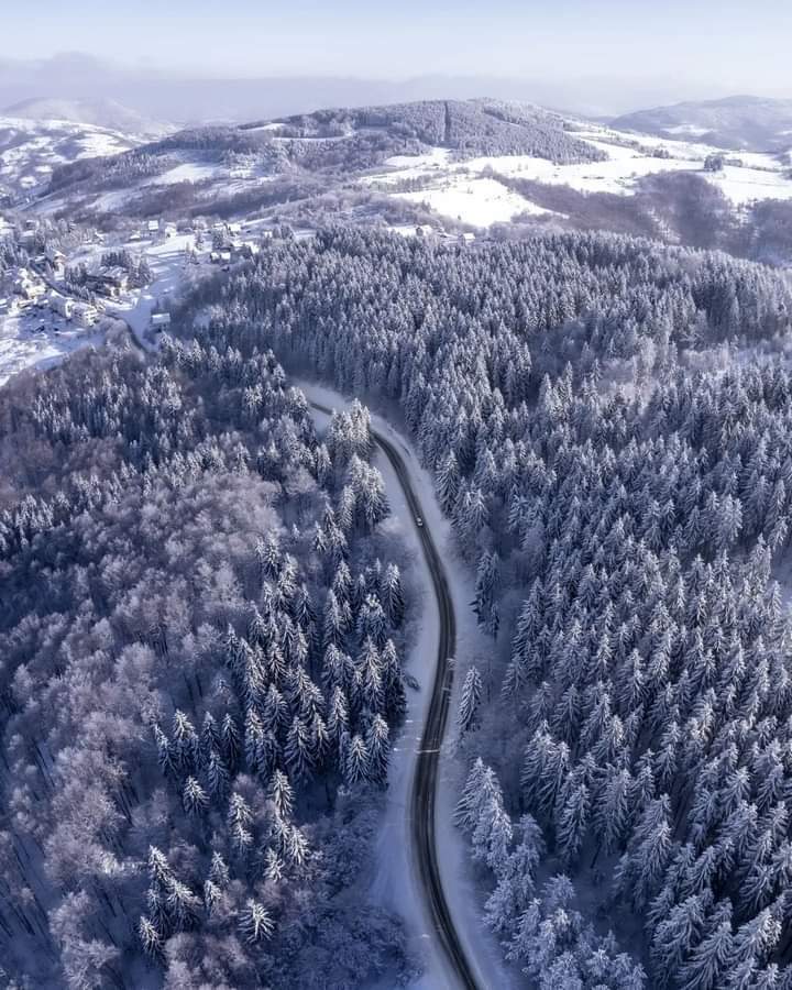Planina Javor jedna od posećenijih, povoljno srpsko skijalište za koje ...