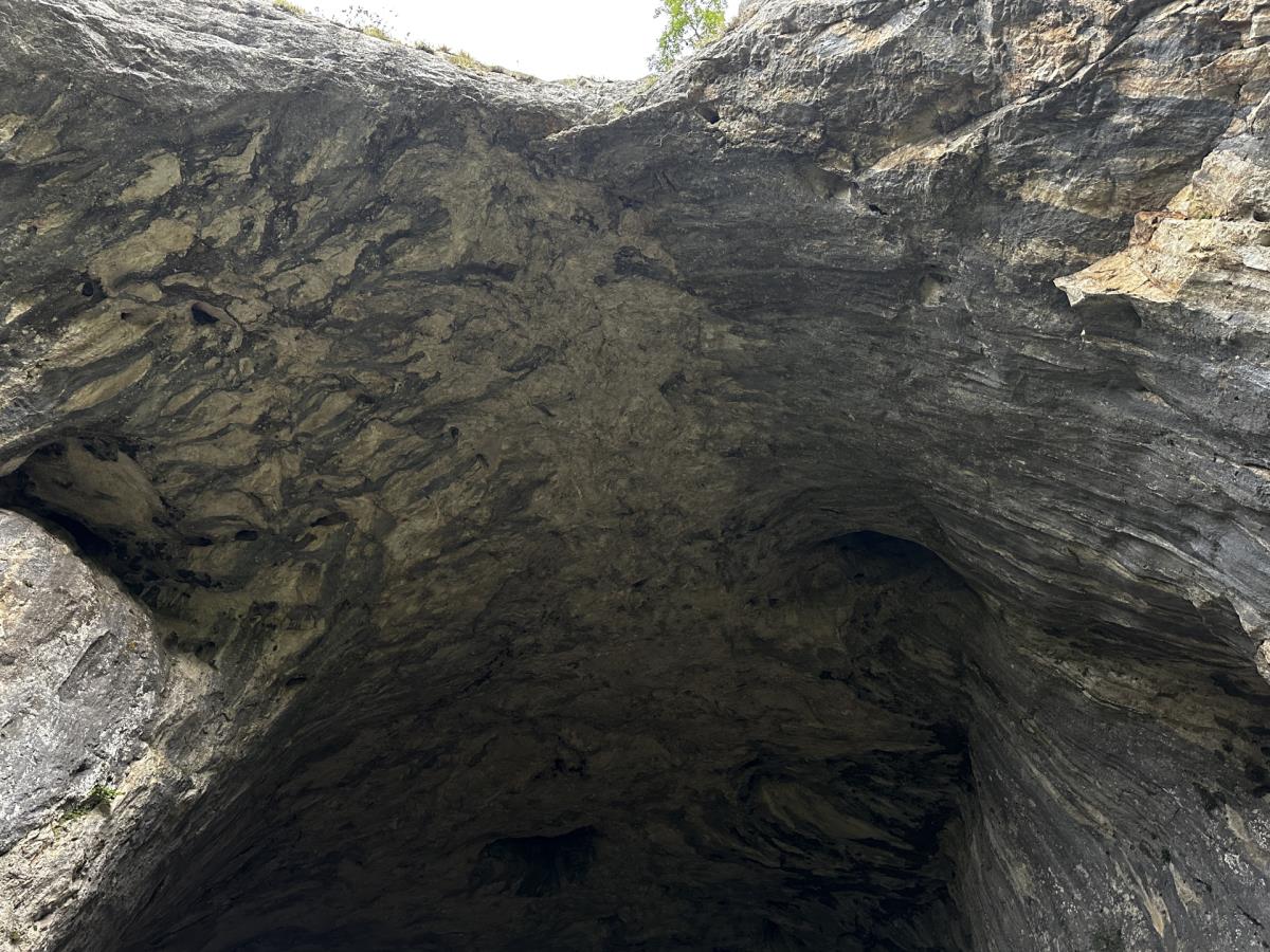 Čudo prirode na 900 metara nadmorske visine u zlatiborskom selu ...