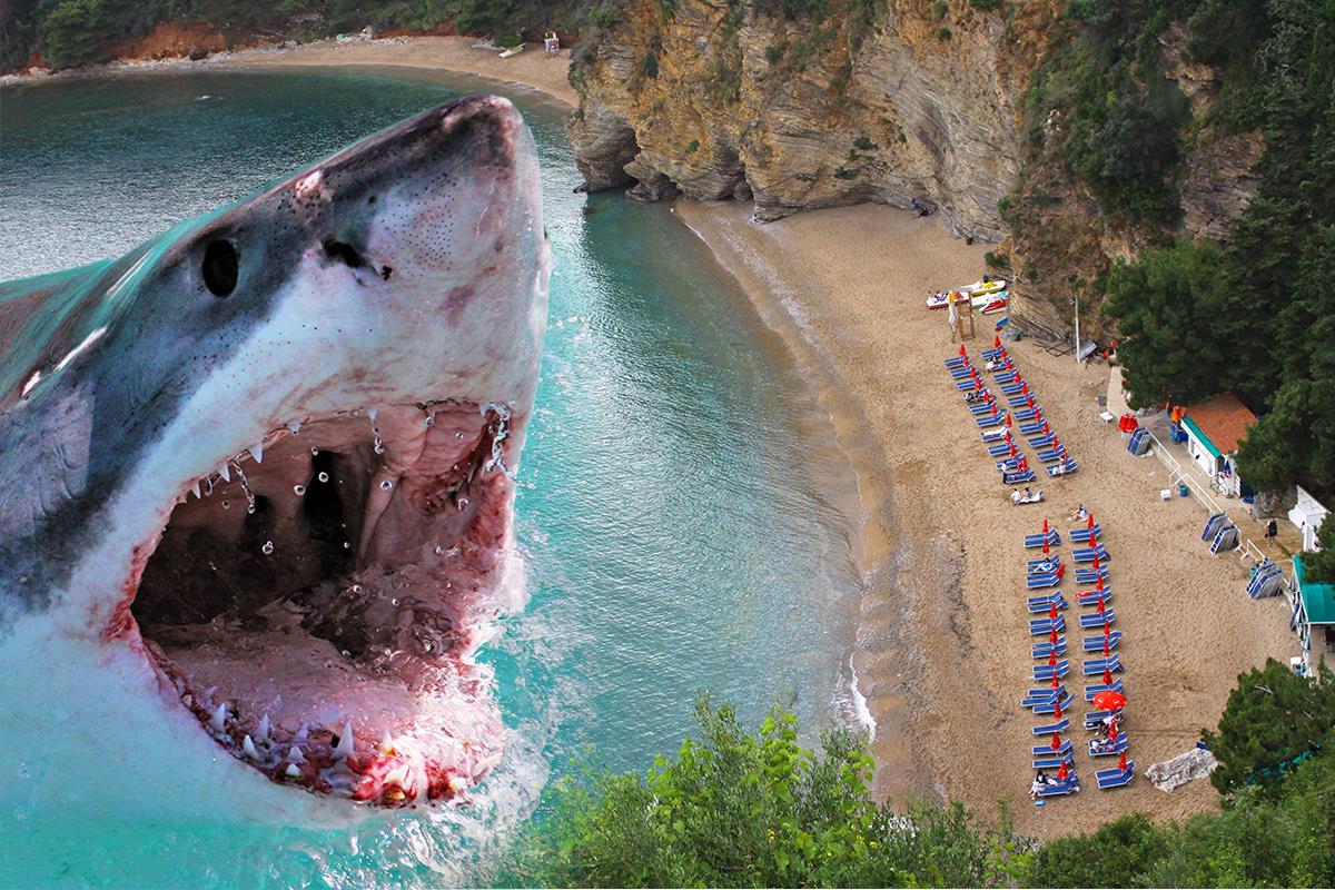 Studenta ubila ajkula kod Budve? | Kurir