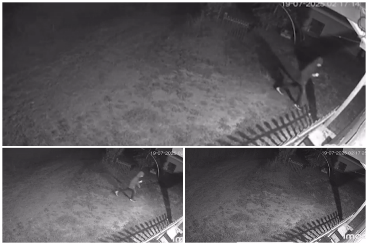 Snimak napada na imanje Dragana J. Vučićevića | Kurir