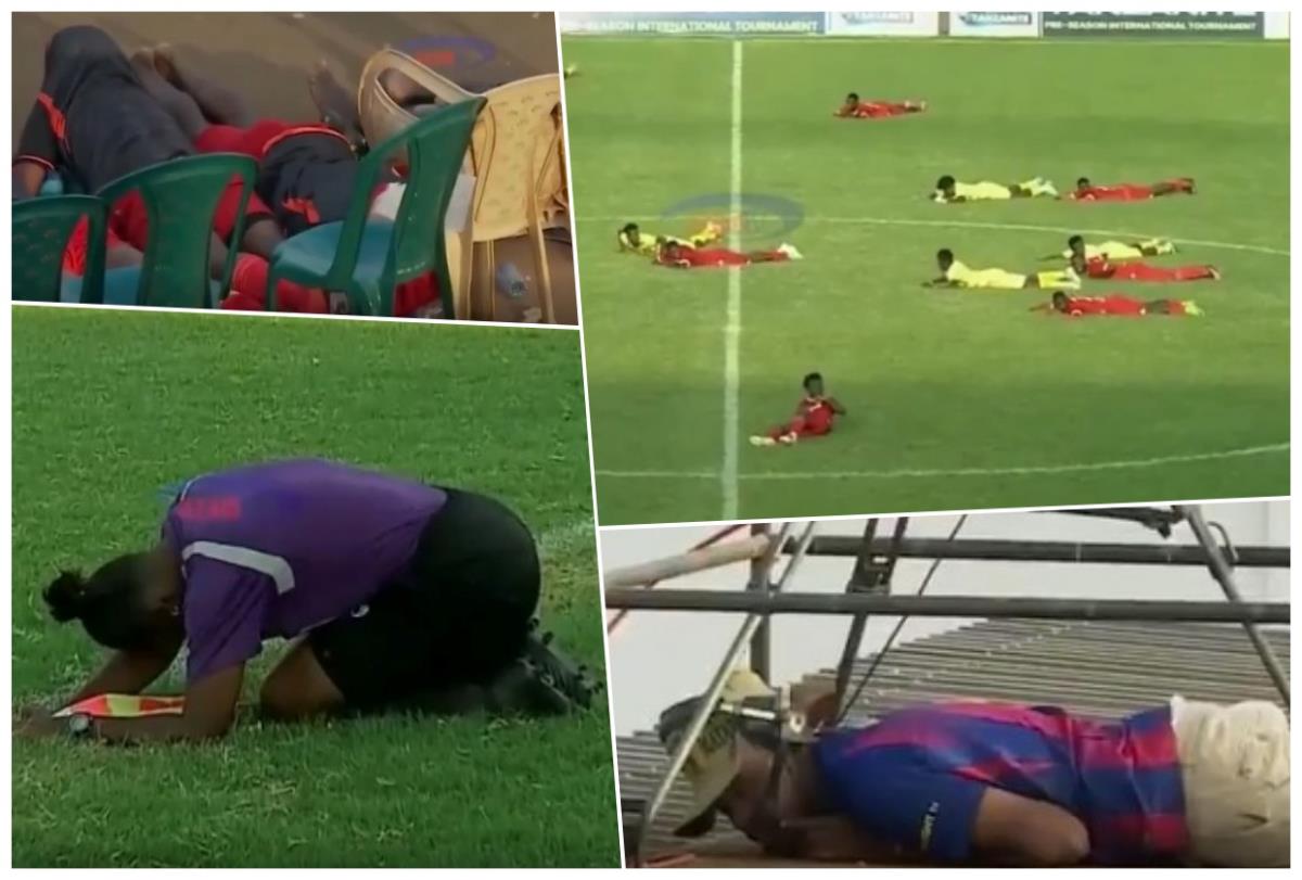 Roj pčela napao fudbalere | Kurir