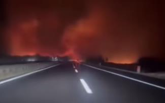 Veliki požar na auto-putu Novi Sad – Sirig: Plamen se uzdiže visoko ...