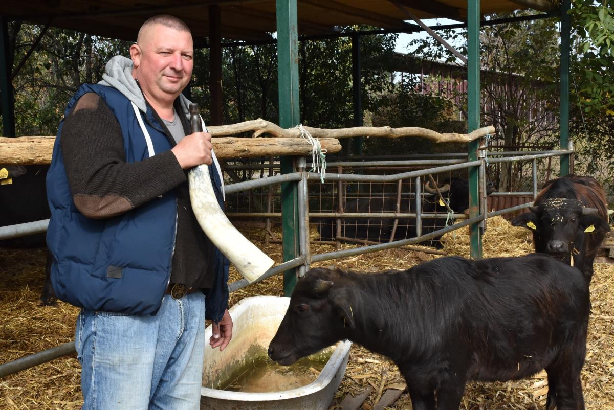 Farma u Feketiću koja gaji najzaštićenije vrste domaćih životinja u ...