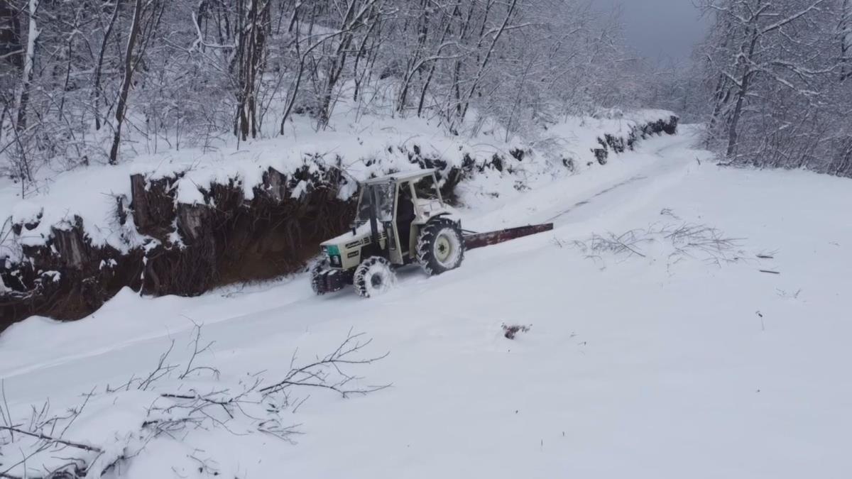 Snežna mećava na Zlatiboru | Kurir