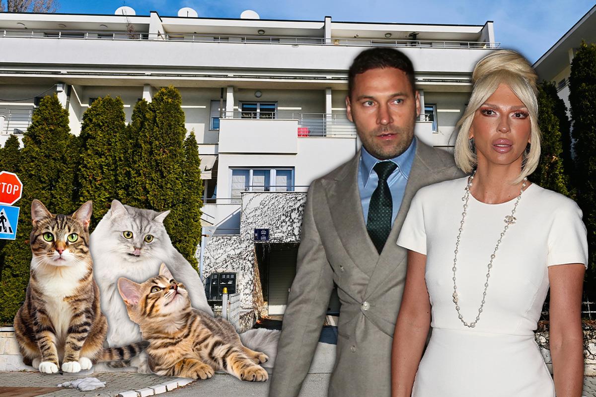 Duško Tošić izbacio mačke iz stana | Kurir