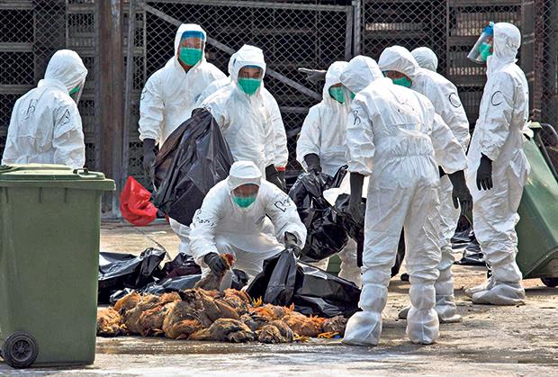 FARMAKOMAFIJA ZARAZILA SVET: U kovertama širili virus ptičjeg gripa ...