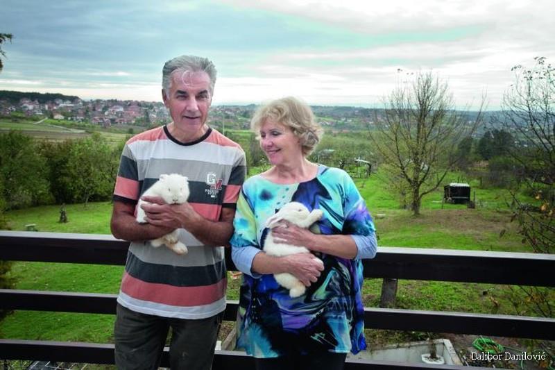 ORGANSKA FARMA UMESTO GRADSKE BUKE: Kako je porodica Vučković naučila ...